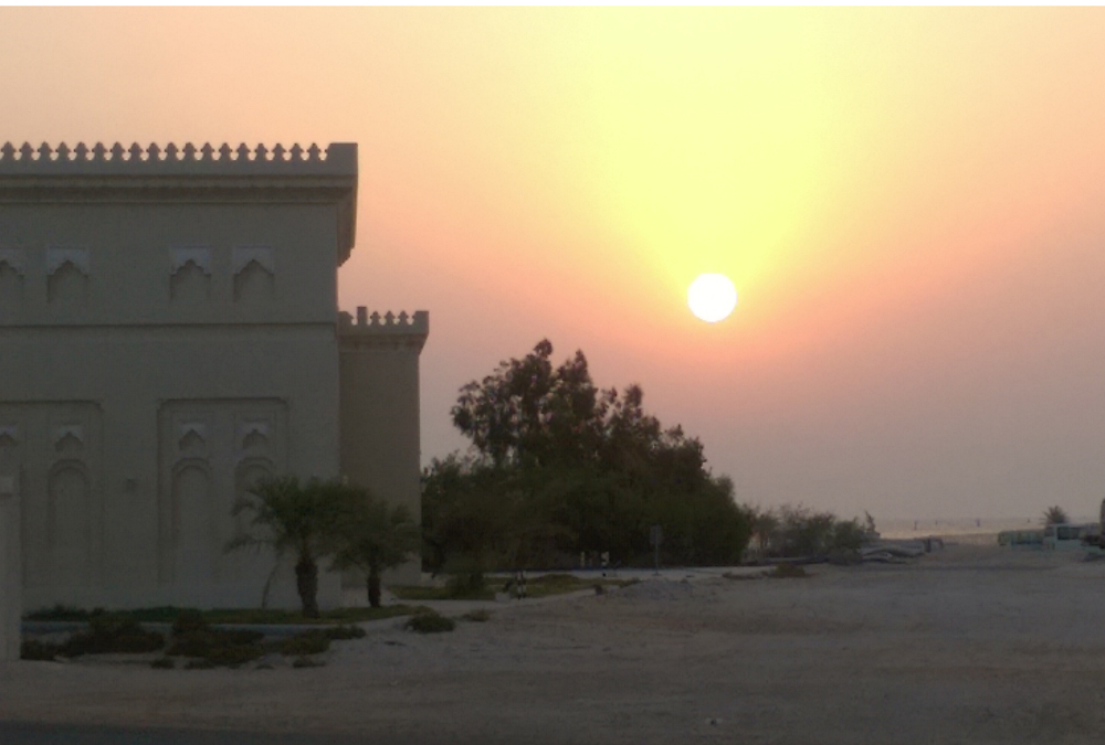 Eid al-Adha Feeding the Fish Doha | Feeding the Fish